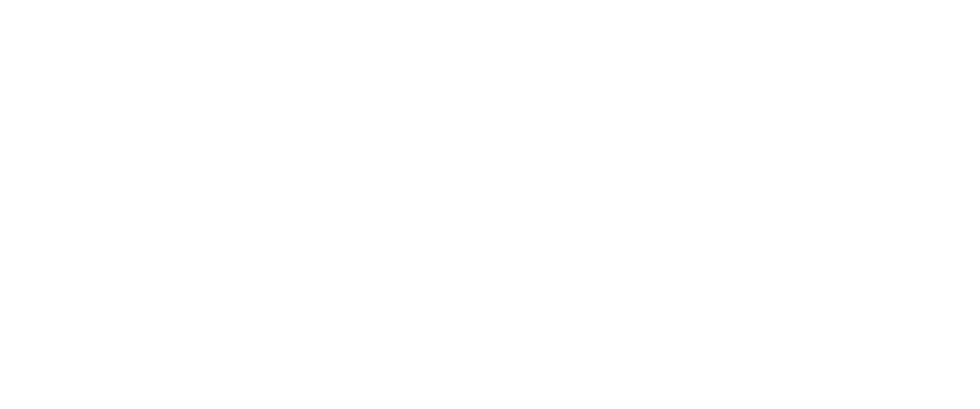 Certified Government CIO Training • Public Technology Institute